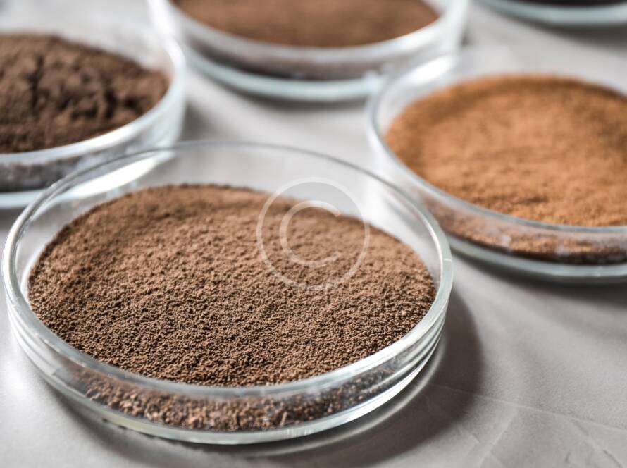 Laboratory Analysis – Bio Scaffold